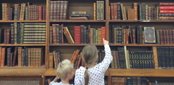 Category: Classics | Brumby Sunstate