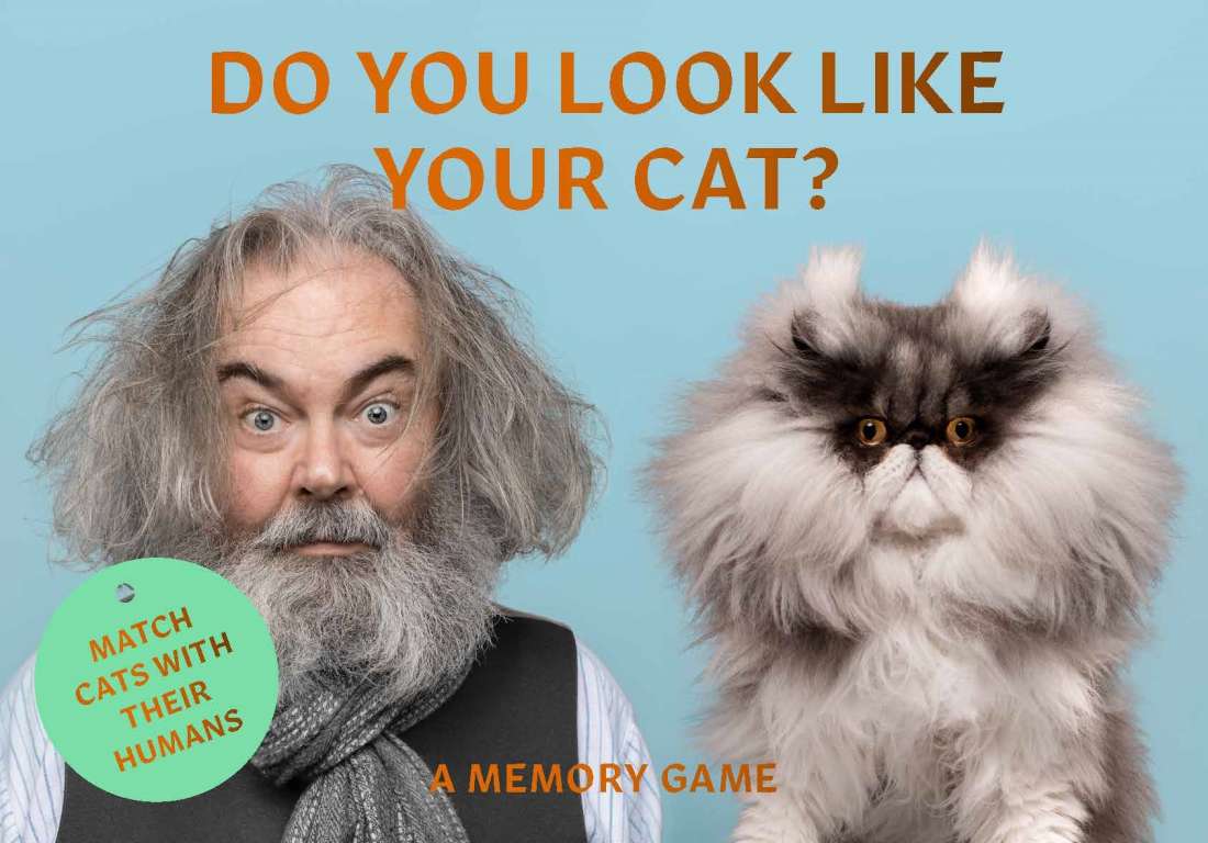 DO YOU LOOK LIKE YOUR CAT? | Brumby Sunstate