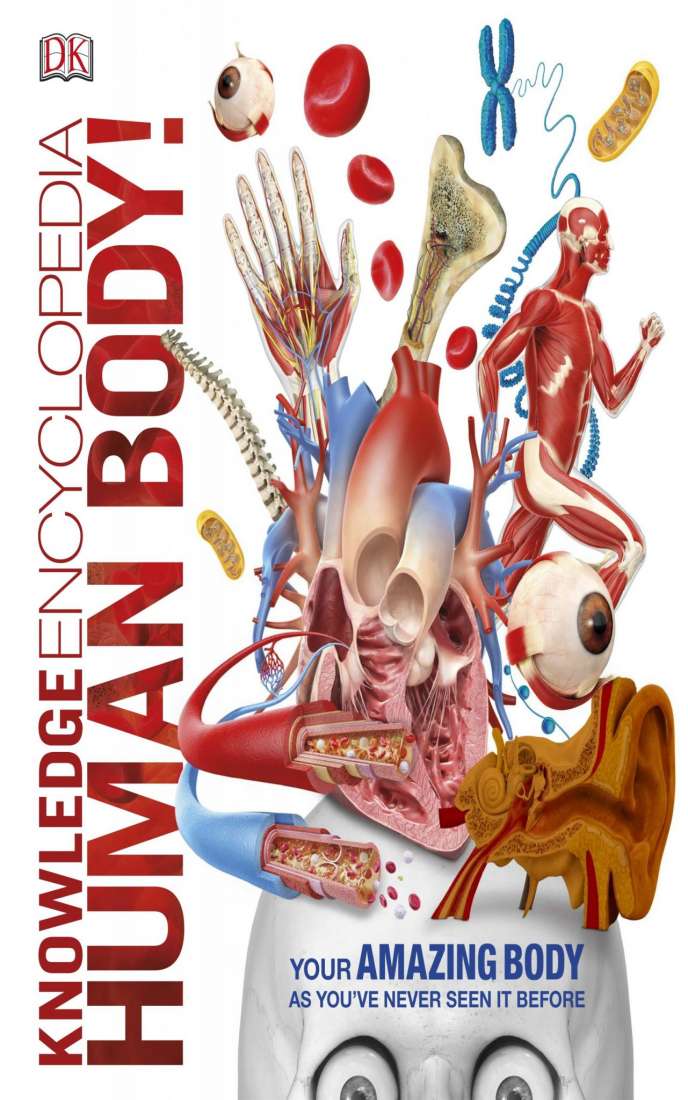 KNOWLEDGE ENCYCLOPEDIA: HUMAN BODY! | Brumby Sunstate
