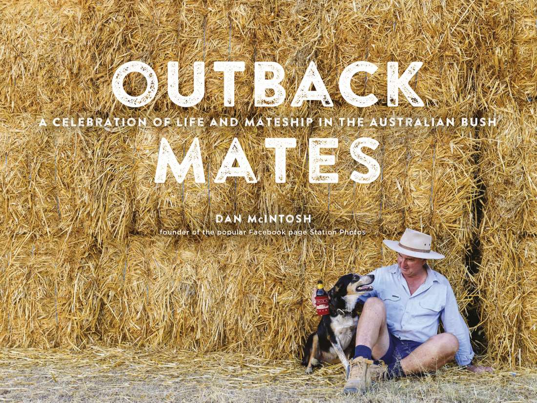 OUTBACK MATES | Brumby Sunstate