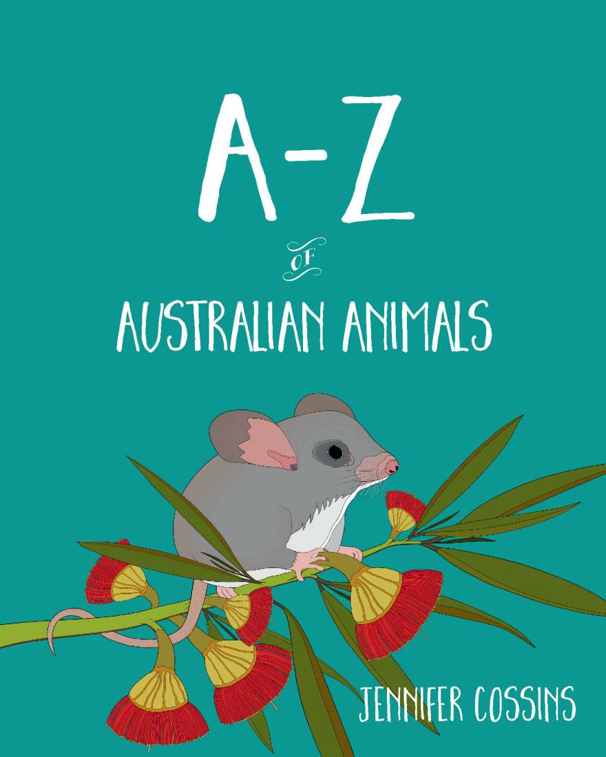 A-Z OF AUSTRALIAN ANIMALS | Brumby Sunstate