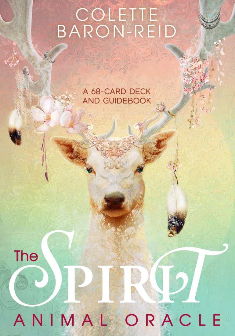 IC: SPIRIT ANIMAL ORACLE | Brumby Sunstate