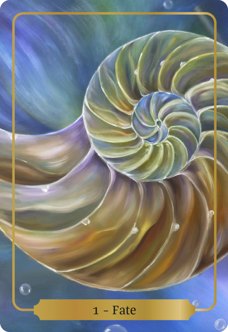 IC: SACRED BLESSINGS ORACLE CARDS | Brumby Sunstate