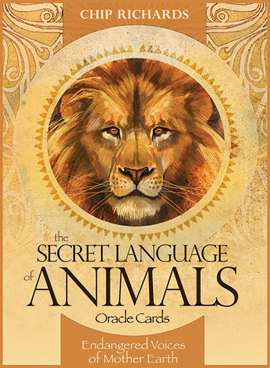 IC: THE SECRET LANGUAGE OF ANIMALS | Brumby Sunstate