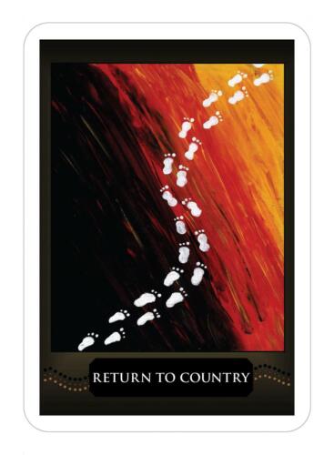 IC: ABORIGINAL SPIRIT ORACLE CARDS | Brumby Sunstate