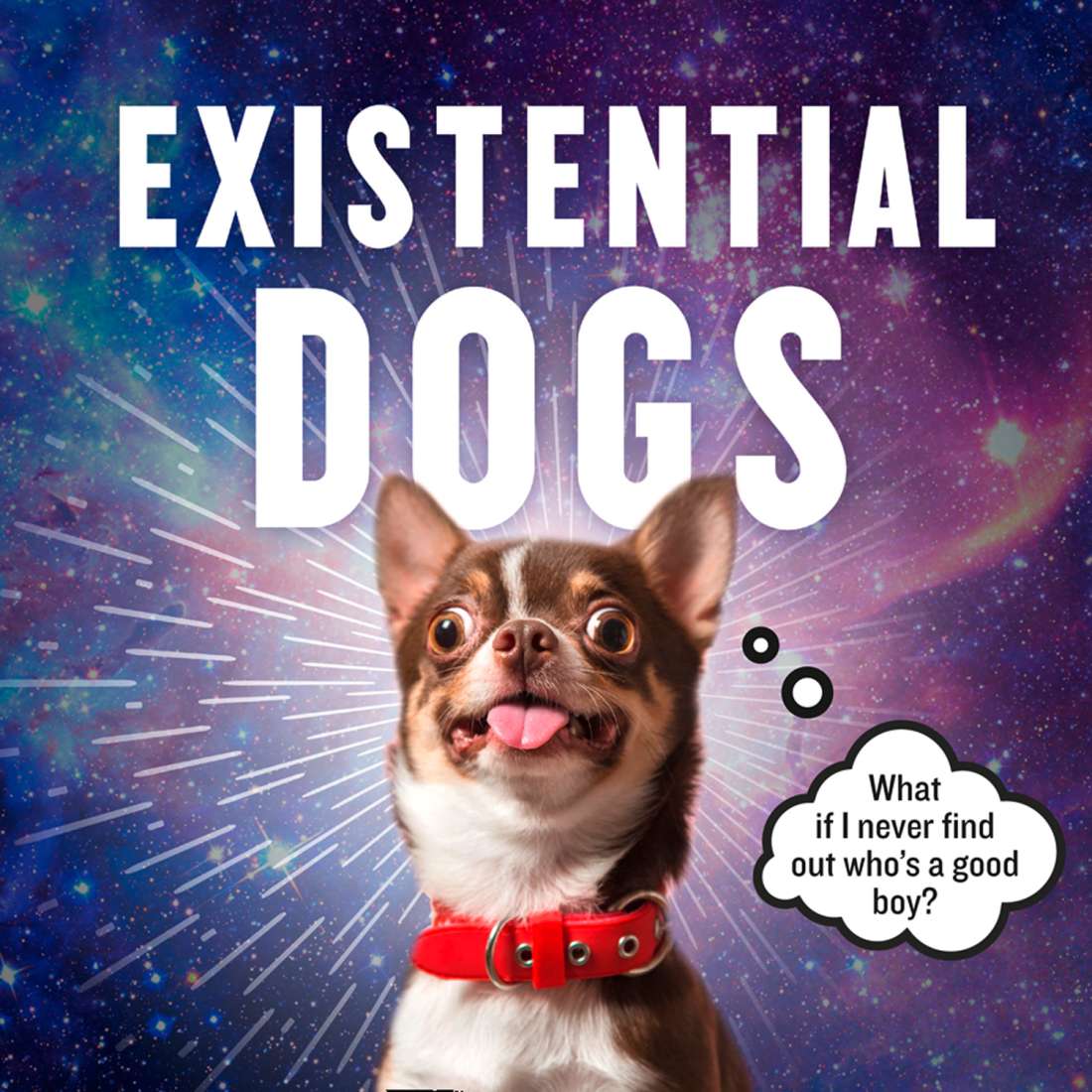 EXISTENTIAL DOGS | Brumby Sunstate