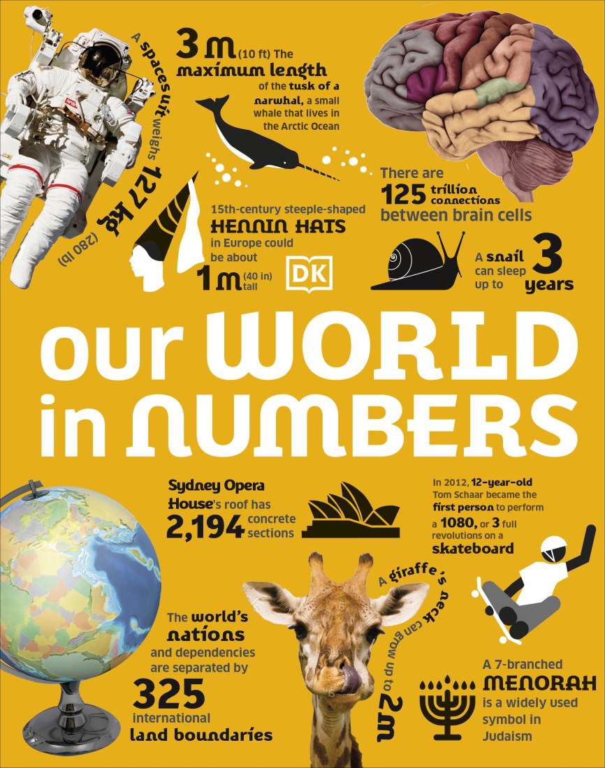 OUR WORLD IN NUMBERS | Brumby Sunstate
