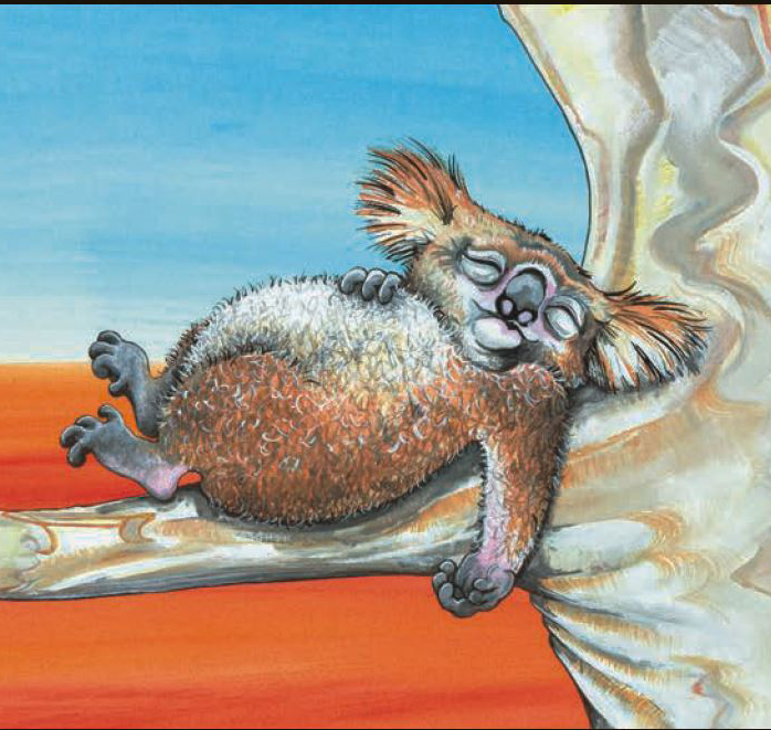 WHERE’S STRIPEY NOTEPAD KOALA | Brumby Sunstate