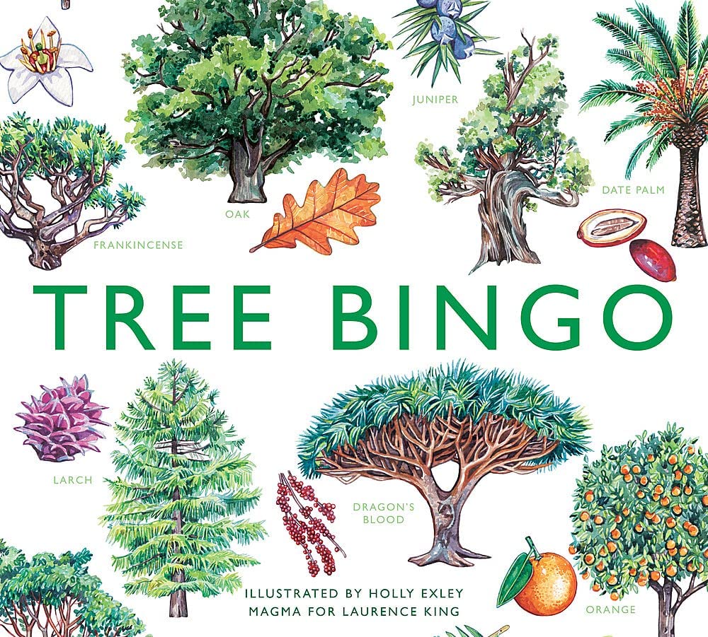 TREE BINGO | Brumby Sunstate