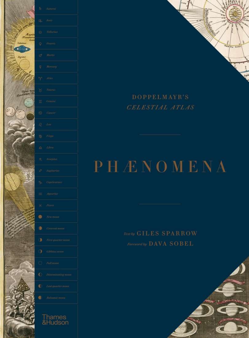 PHAENOMENA (WAS $100) | Brumby Sunstate