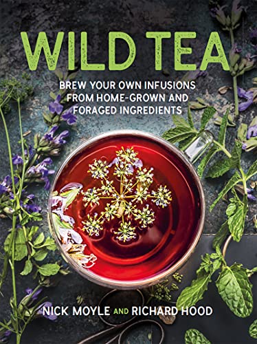 WILD TEA | Brumby Sunstate