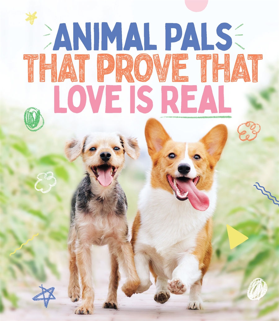 ANIMAL PALS THAT PROVE THAT LOVE IS REAL | Brumby Sunstate