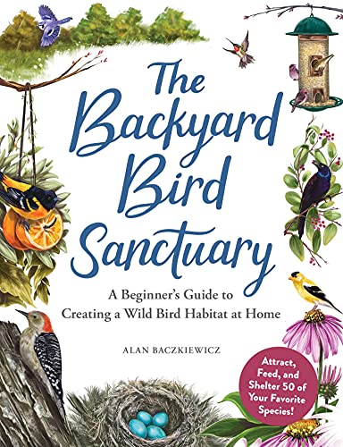 BACKYARD BIRD SANCTUARY, THE | Brumby Sunstate