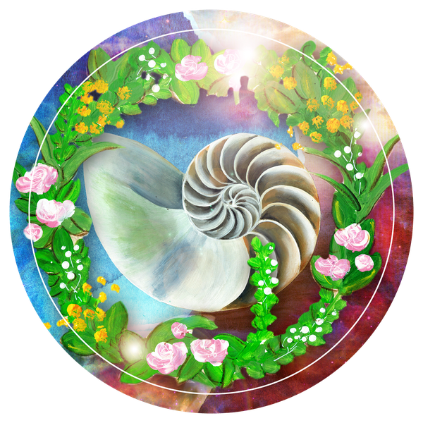 IC: CREATURE TEACHER CARDS FOR KIDS | Brumby Sunstate