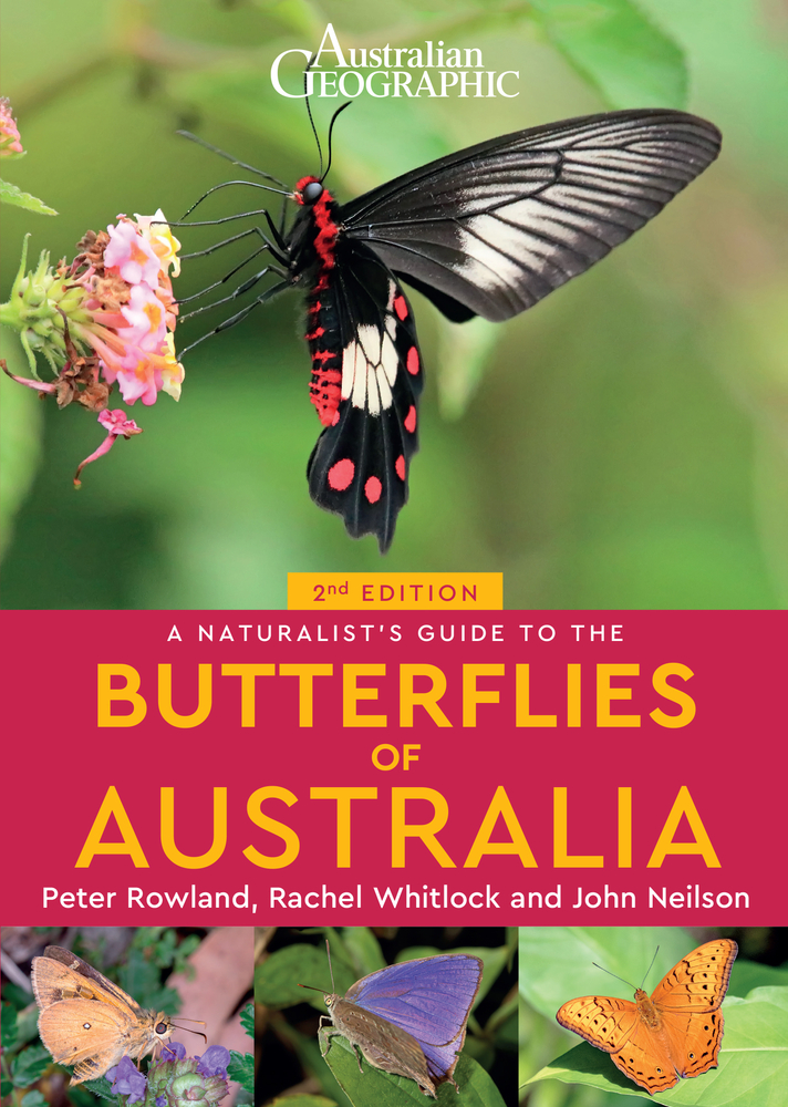 A NATURALIST’S GUIDE: BUTTERFLIES OF AUSTRALIA 2ND ED | Brumby Sunstate