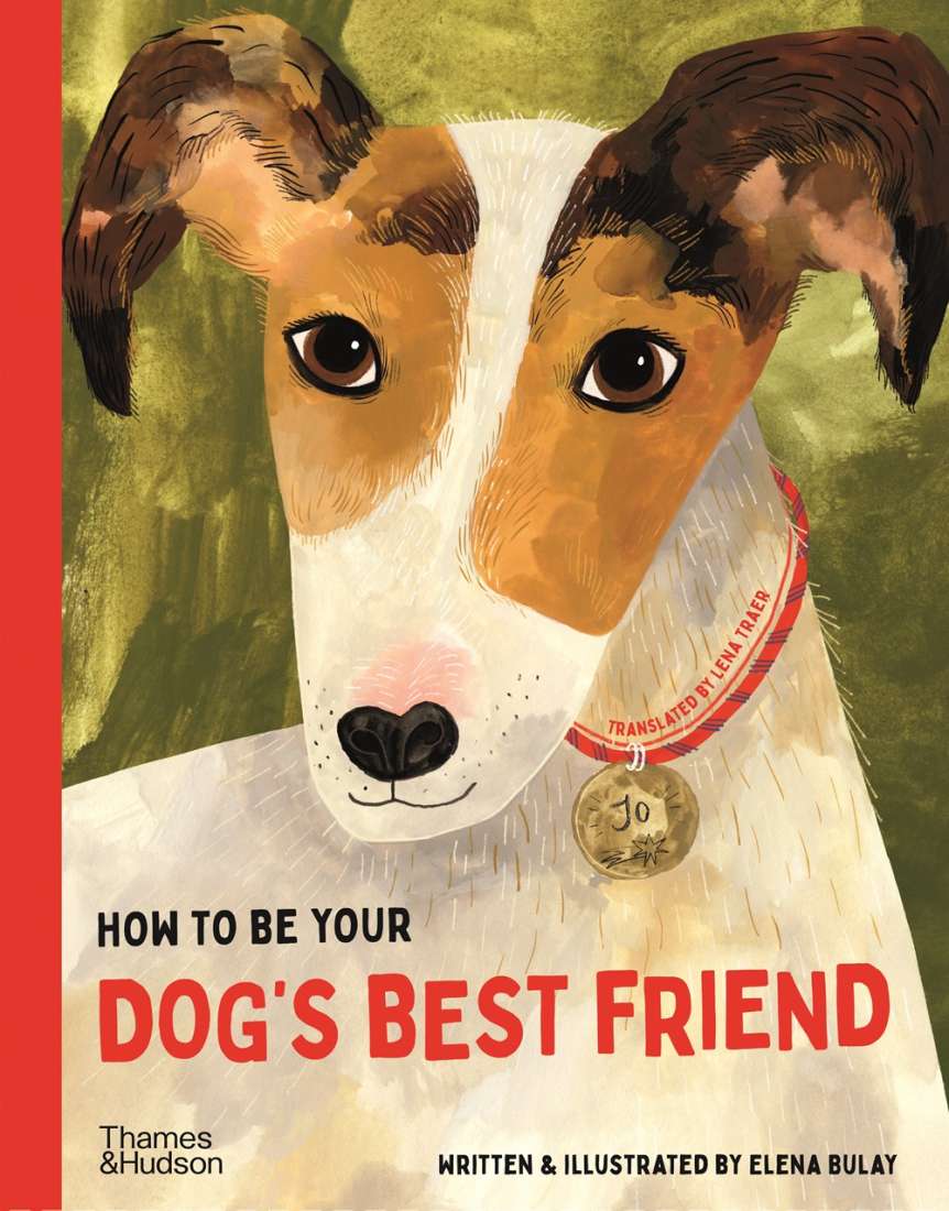 HOW TO BE YOUR DOG’S BEST FRIEND | Brumby Sunstate