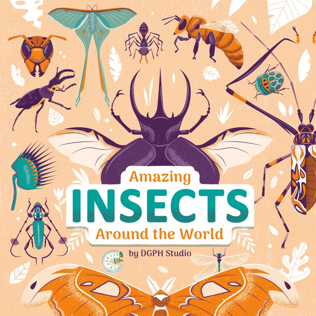 AMAZING INSECTS AROUND THE WORLD | Brumby Sunstate