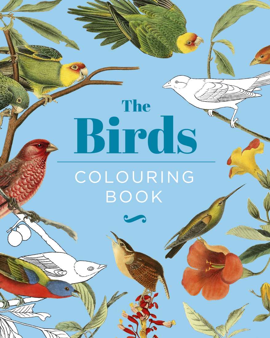 THE BIRDS COLOURING BOOK | Brumby Sunstate