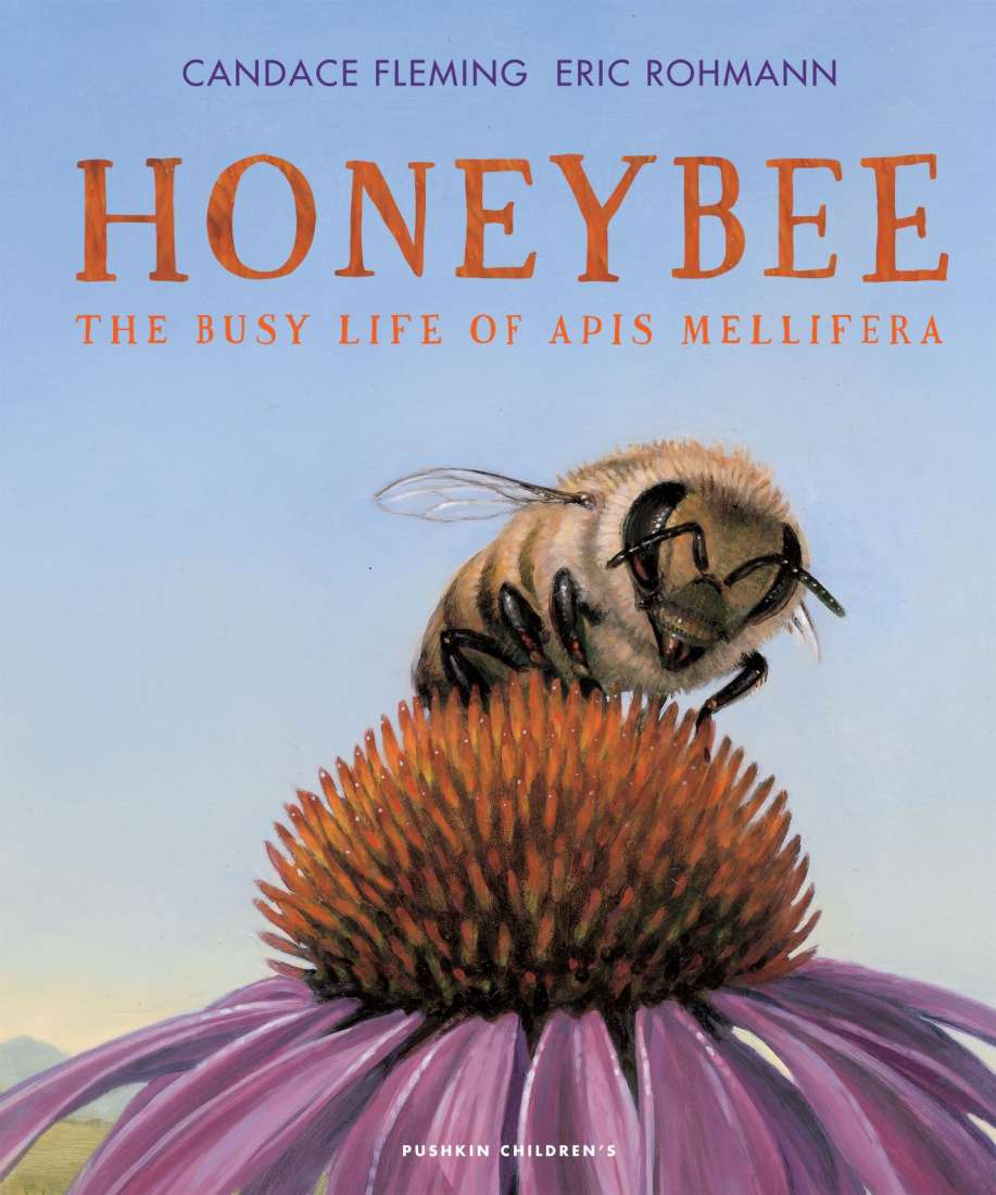 HONEYBEE | Brumby Sunstate
