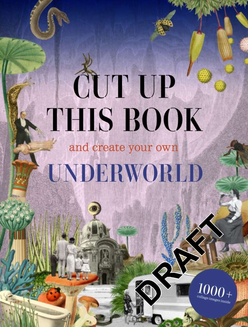 CUT UP THIS BOOK AND CREATE YOUR OWN UNDERWORLD | Brumby Sunstate