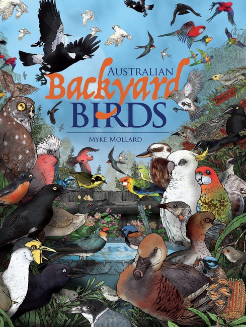 AUSTRALIAN BACKYARD BIRDS | Brumby Sunstate