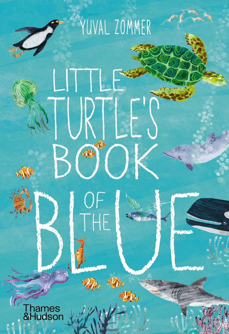 LITTLE TURTLE’S BOOK OF THE BLUE | Brumby Sunstate