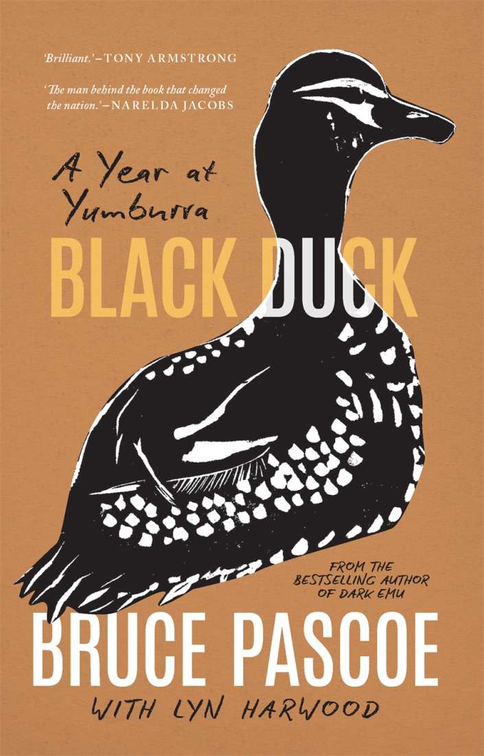 BLACK DUCK | Brumby Sunstate