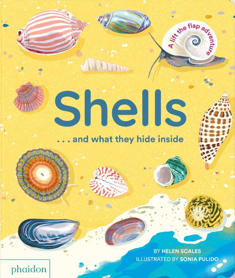 SHELLS… AND WHAT THEY HIDE INSIDE | Brumby Sunstate