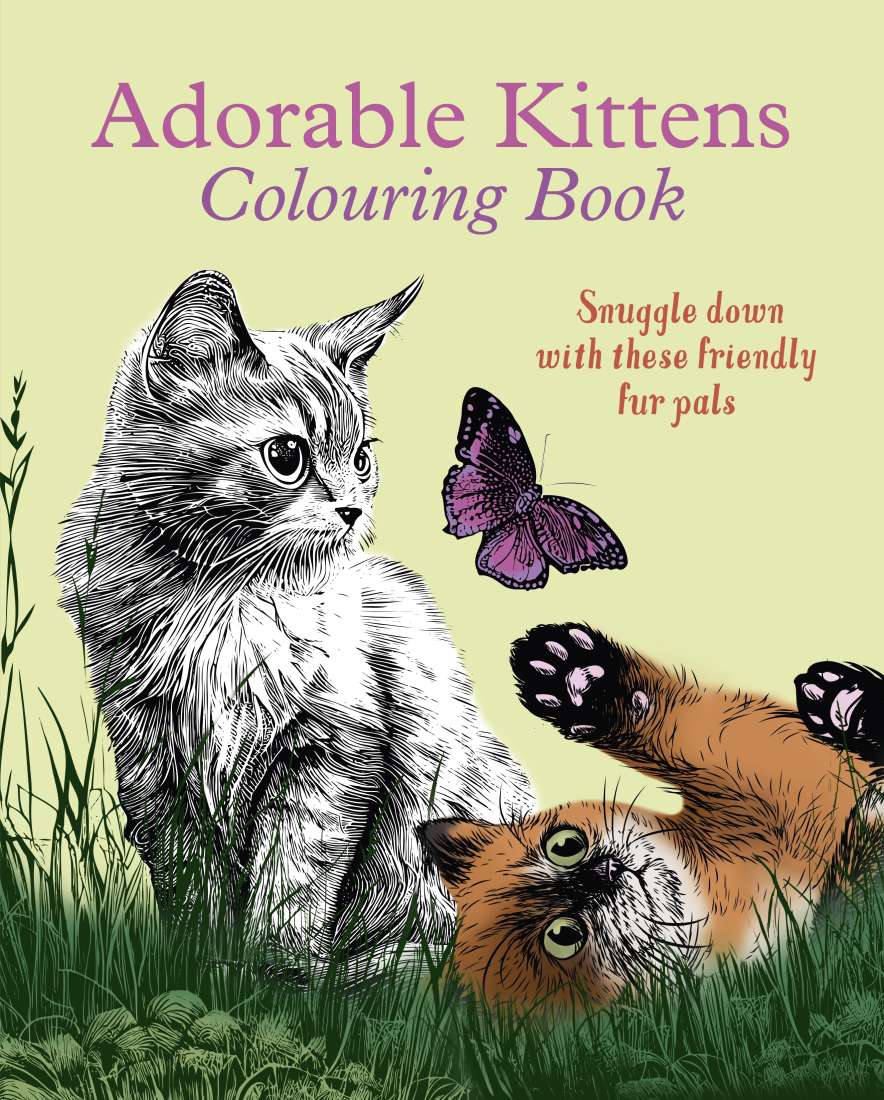 ADORABLE KITTENS COLOURING BOOK | Brumby Sunstate