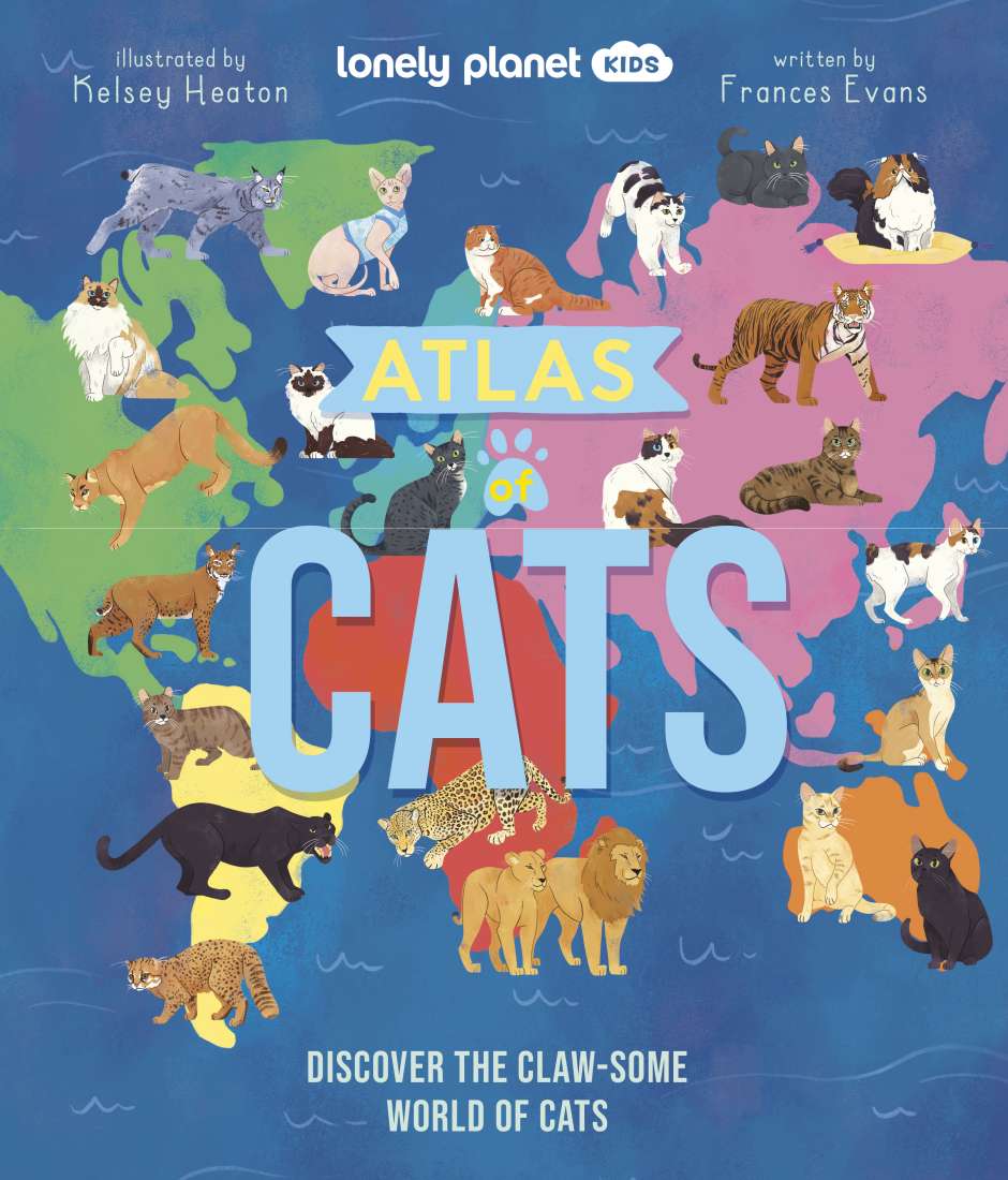 ATLAS OF CATS | Brumby Sunstate