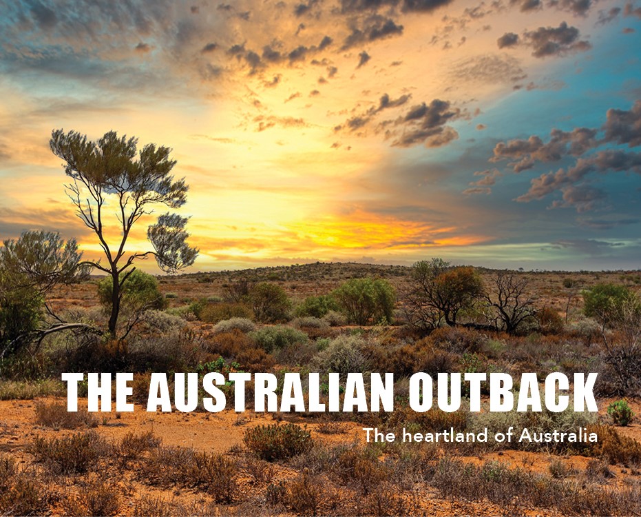AUSTRALIAN OUTBACK, THE | Brumby Sunstate