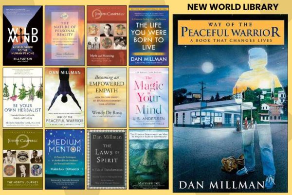 Brumby Sunstate | Books Wholesaler - Children, MBS, Gift