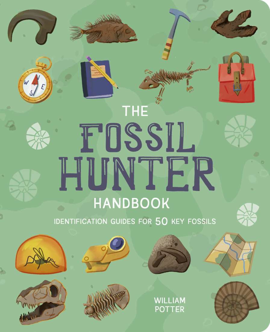 FOSSIL HUNTER HANDBOOK, THE | Brumby Sunstate