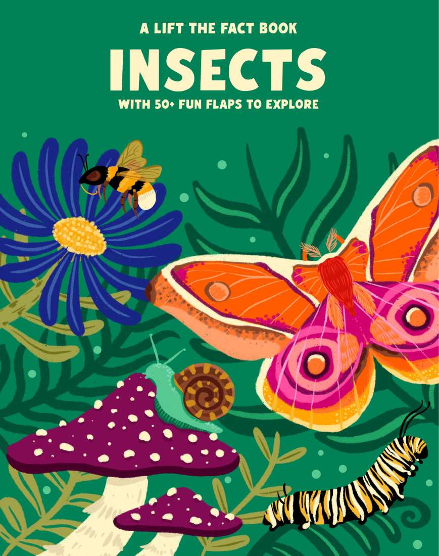 LIFT THE FACT: INSECTS | Brumby Sunstate