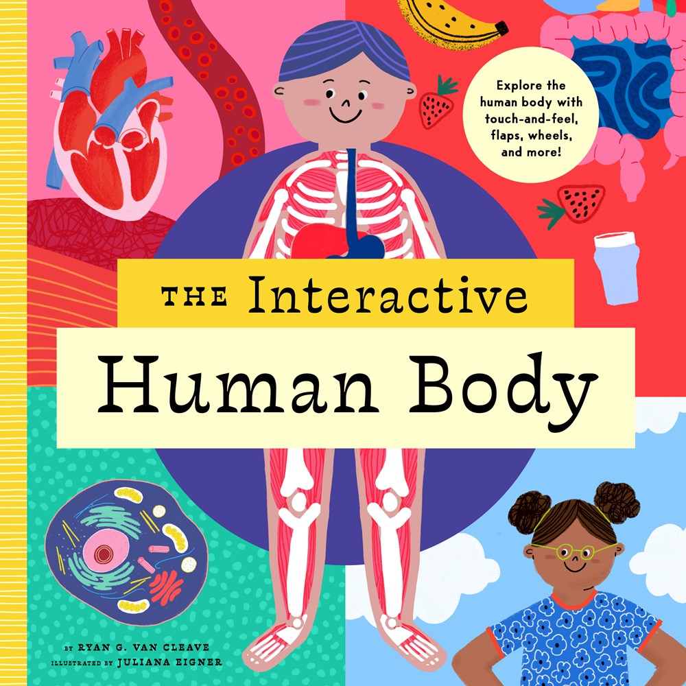 THE INTERACTIVE HUMAN BODY | Brumby Sunstate